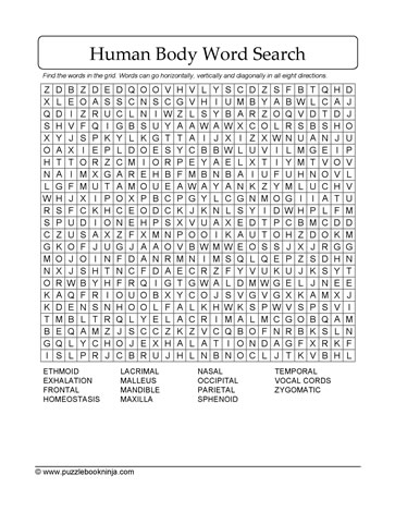 Human Body Puzzle Learn With Puzzles